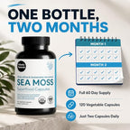 Irish sea moss for immune support