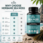 Irish Sea Moss for seniors