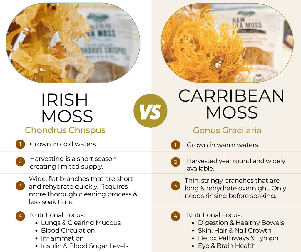Irish sea moss for skin health