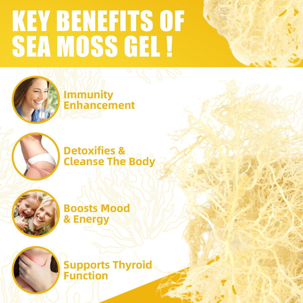 Irish sea moss gel nutrition