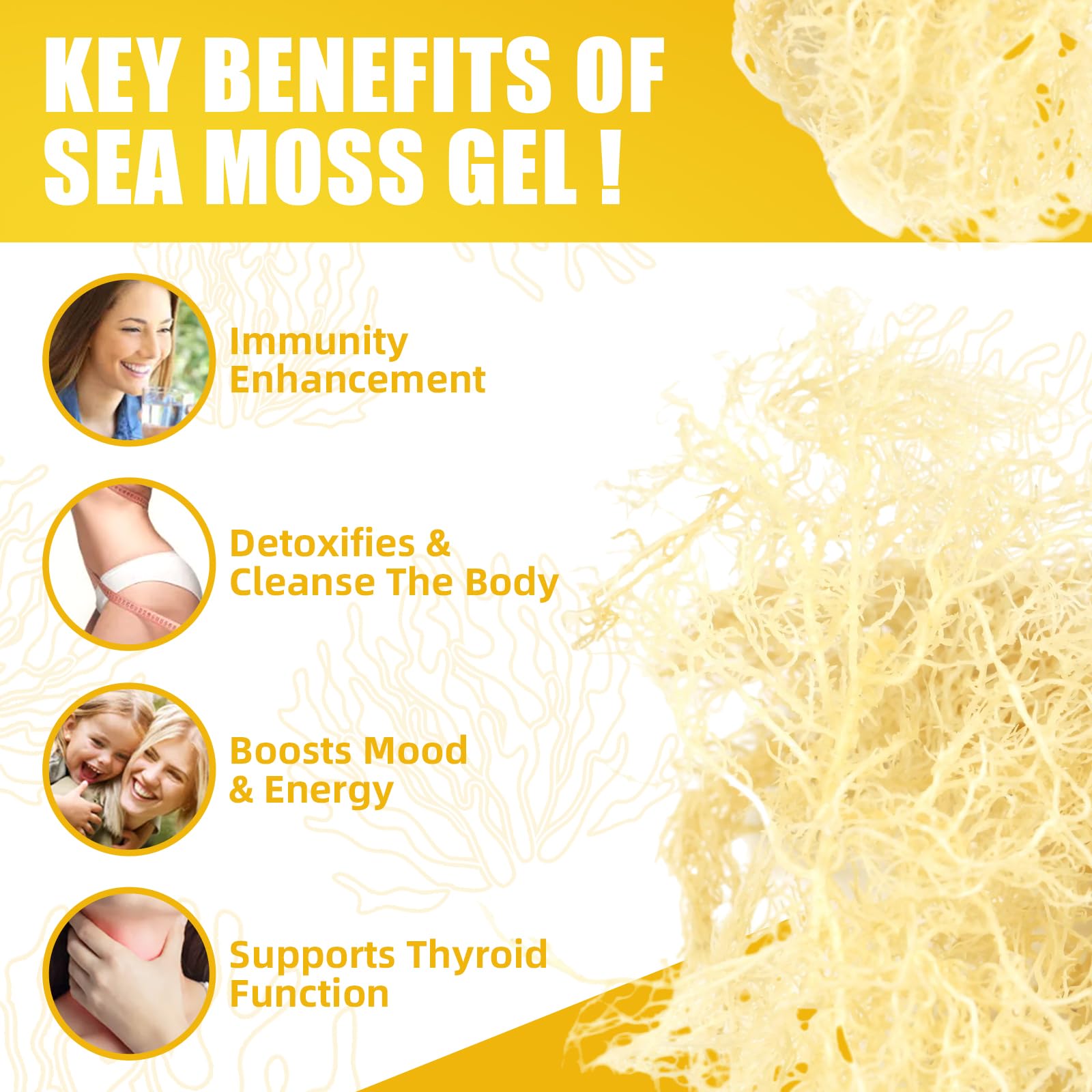 Irish sea moss gel nutrition