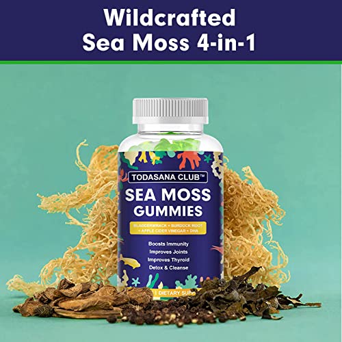 Irish sea moss gummies for immune support
