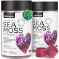Irish Sea Moss gummies for women