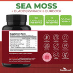 Irish sea moss health benefits