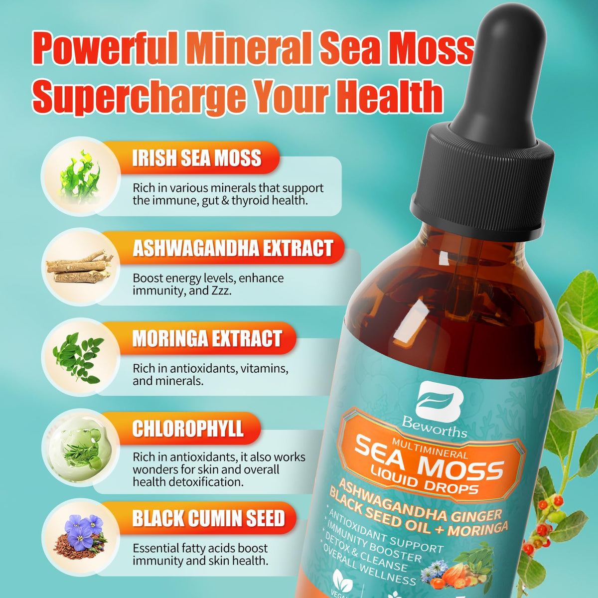 Irish sea moss with black seed benefits