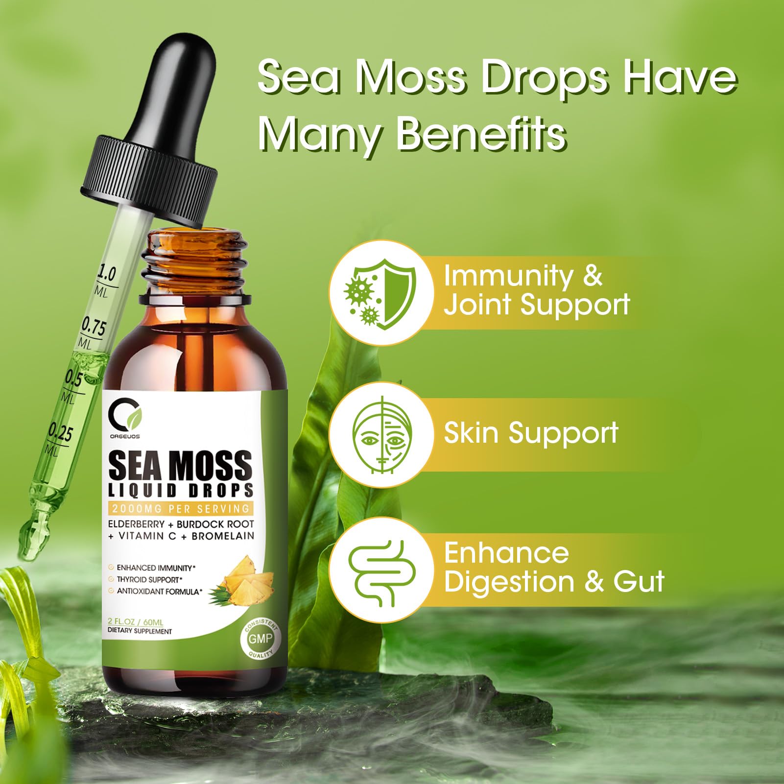 Irish Sea Moss with elderberry benefits