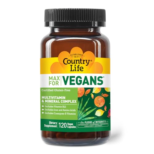 iron and B12 supplements for vegans