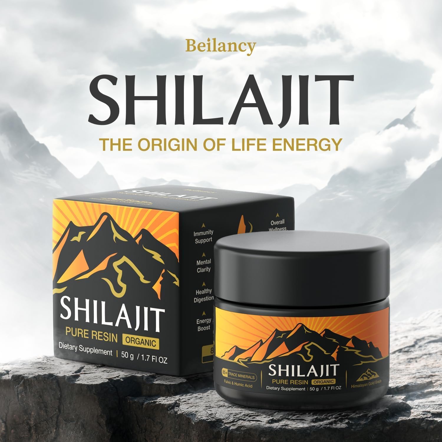 iron and magnesium shilajit benefits