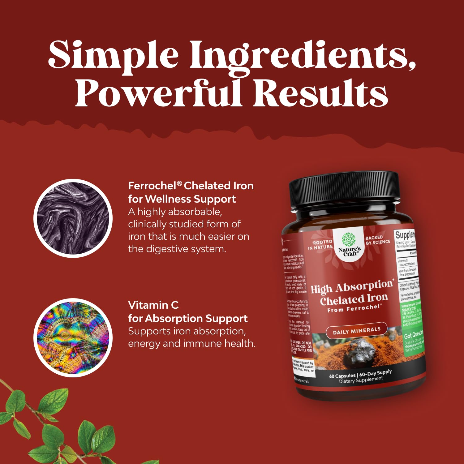 iron bisglycinate supports energy levels