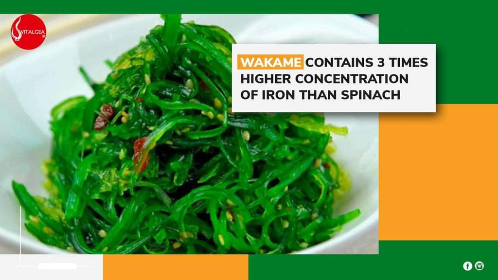 iron blast sea vegetable nutrient blend