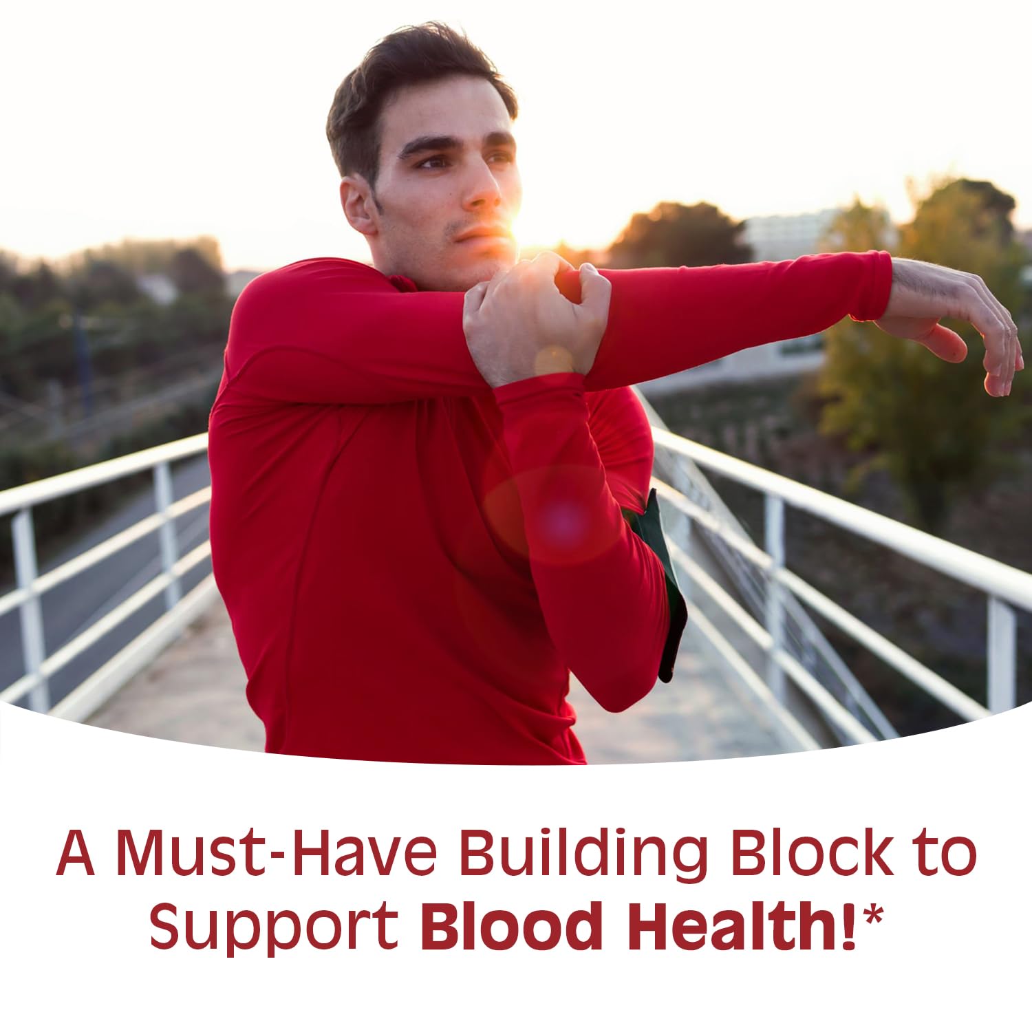 Iron Complex for optimal absorption
