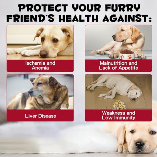 iron drops for better dog health