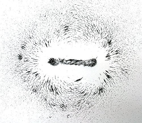 iron filings for educational use