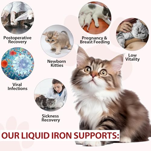 iron for active cats