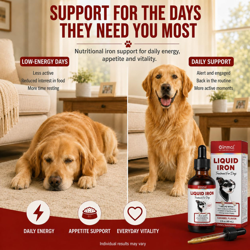 iron for healthy blood in dogs