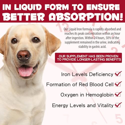 iron for improved dog energy