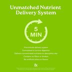 iron-free multivitamin for sensitive stomachs