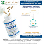 iron-free multivitamin for sensitive stomachs