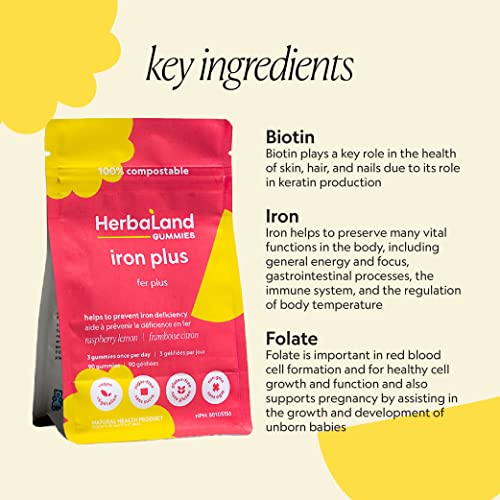 Iron plus gummies for better absorption