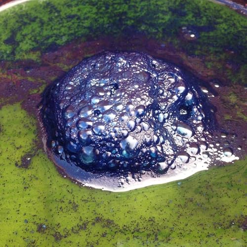 iron-rich dyeing materials