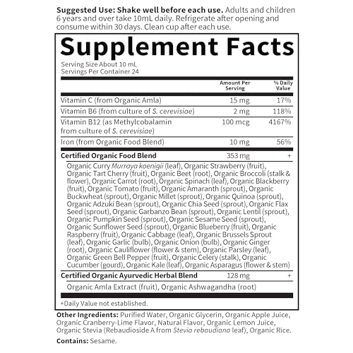 iron supplement for active lifestyle