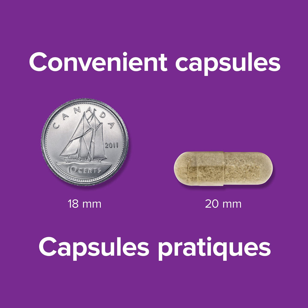 iron supplement for better absorption