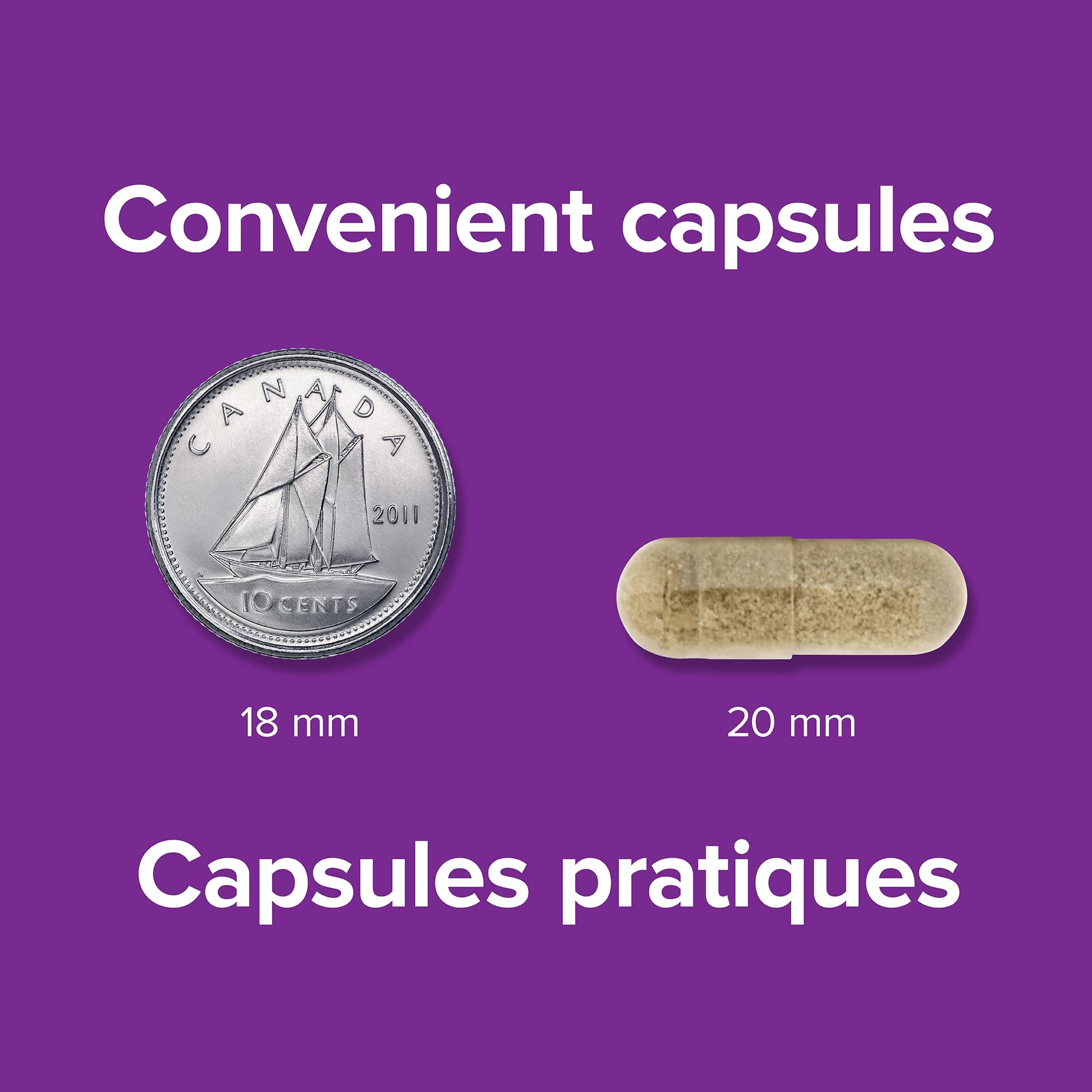 iron supplement for better absorption