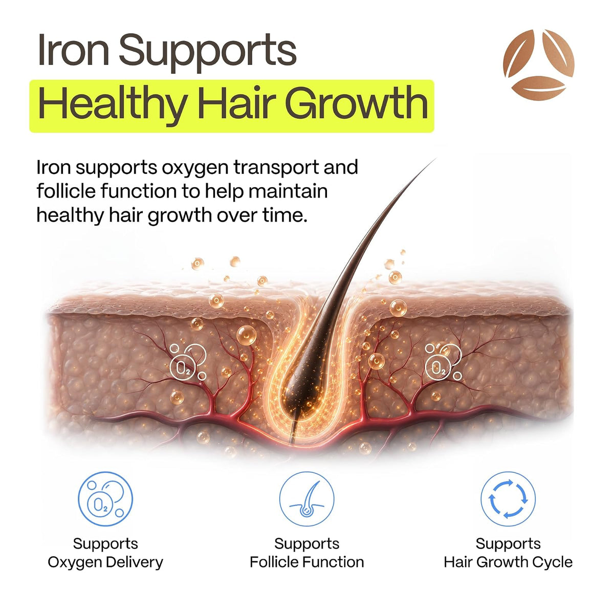 iron supplement for better absorption