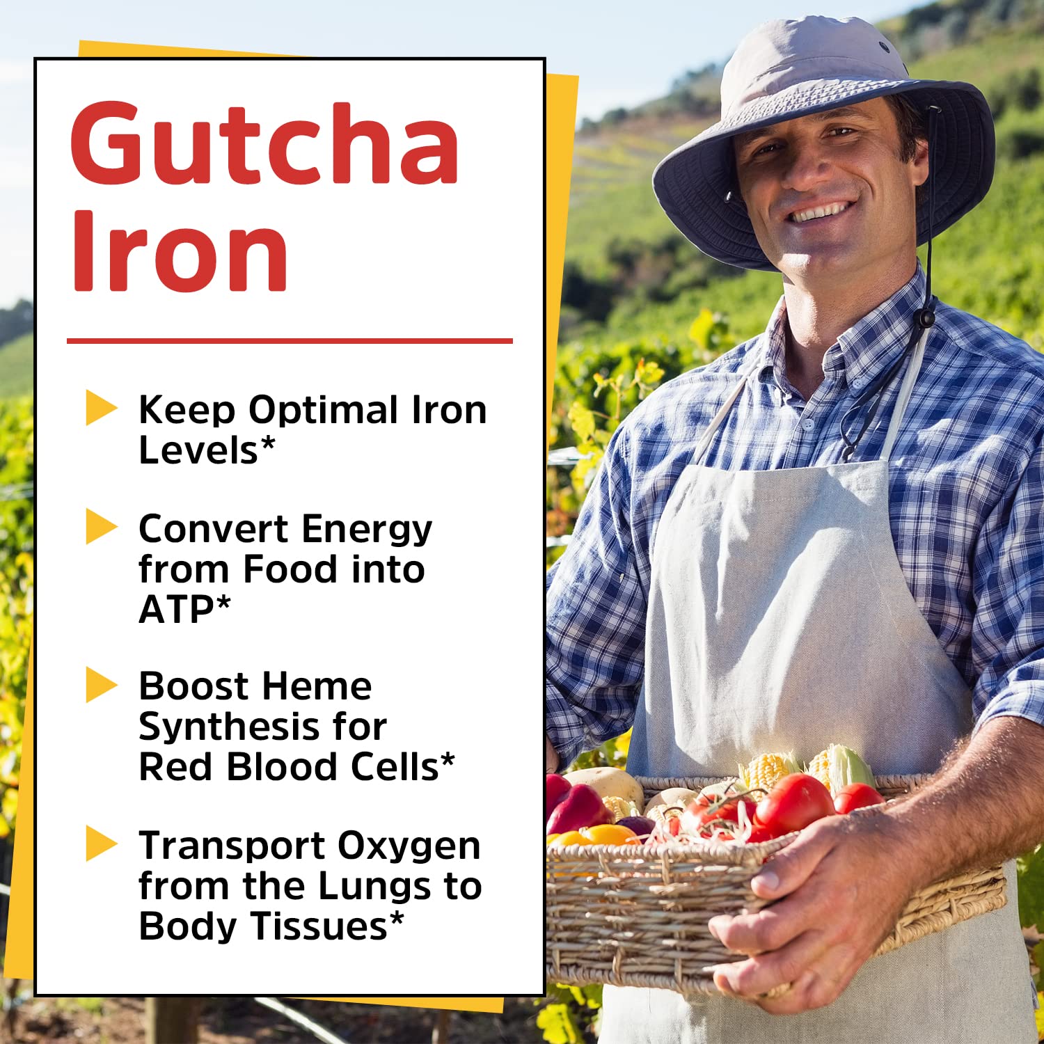 Iron supplement for blood health