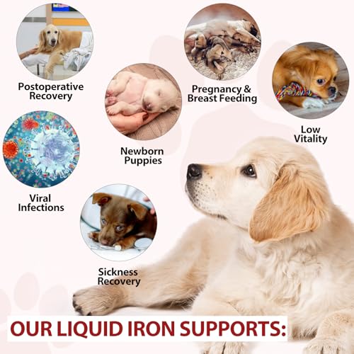 iron supplement for dog health