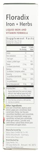 iron supplement for everyday wellness