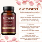 iron supplement for fatigue relief