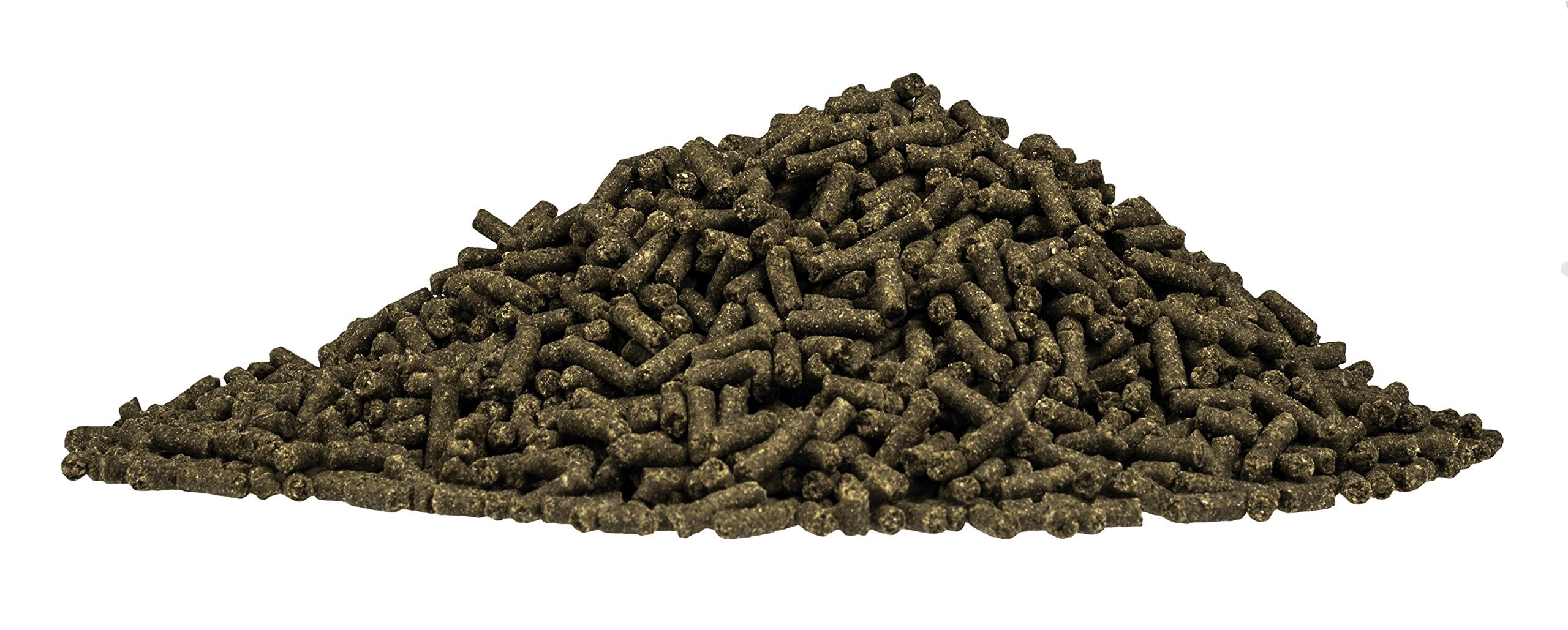 Iron supplement for goats health