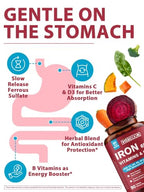 iron supplement for healthy blood