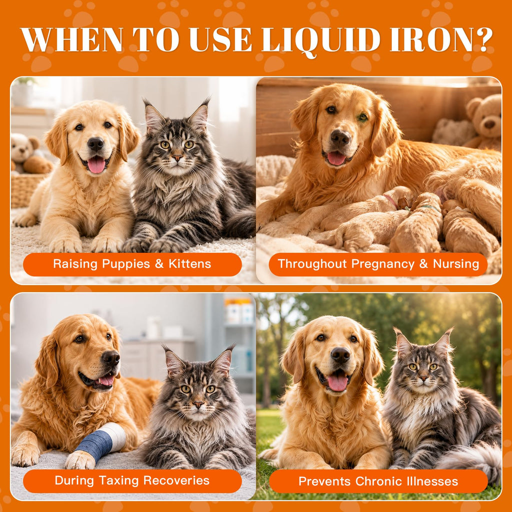 iron supplement for pet vitality