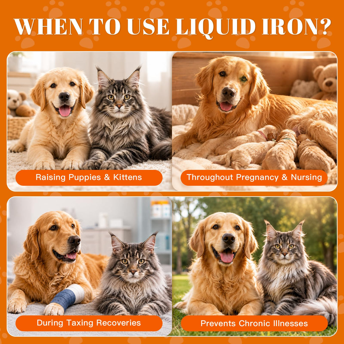iron supplement for pet vitality