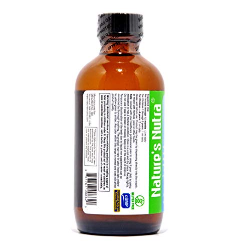 iron supplement for picky eaters