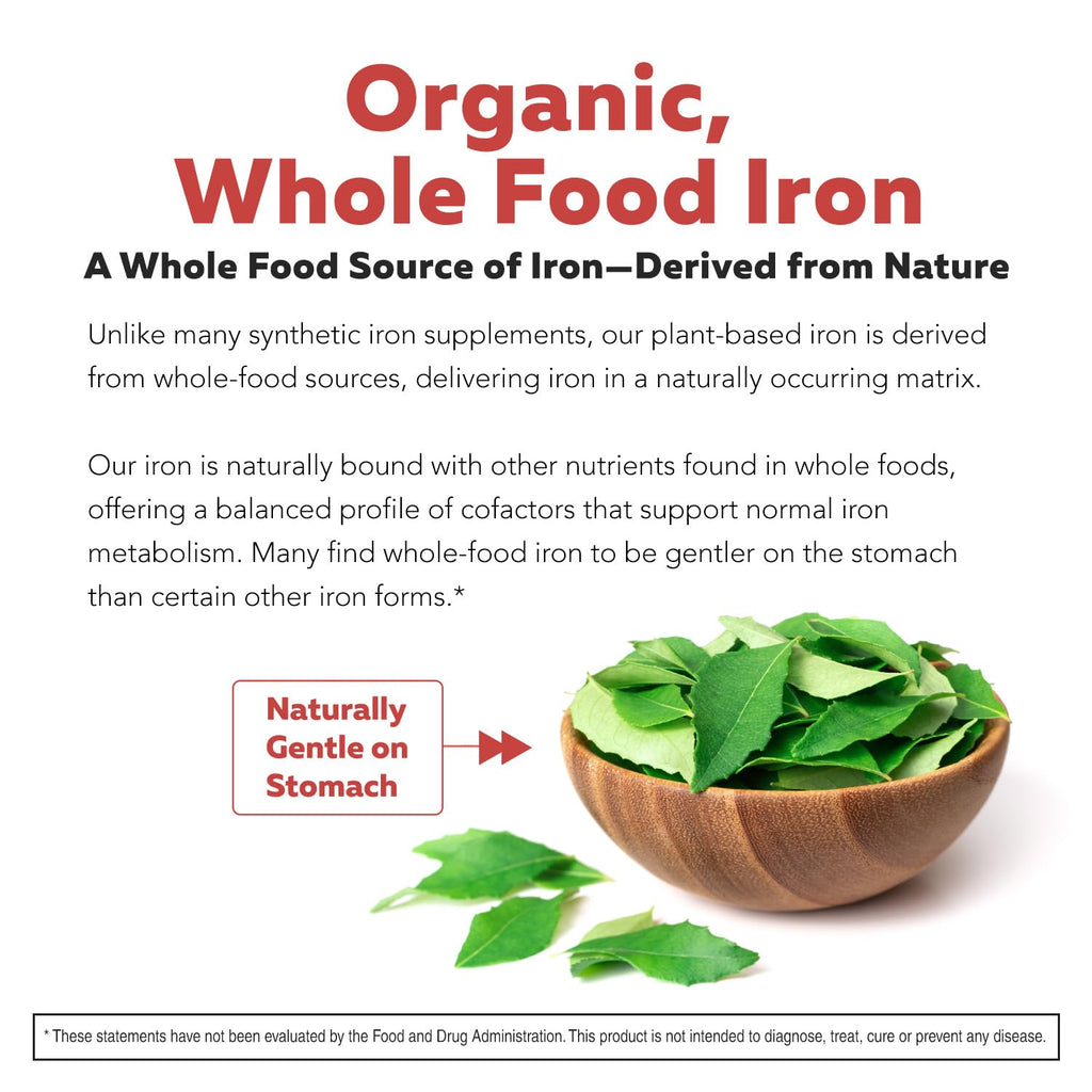 iron supplement for vegan diets