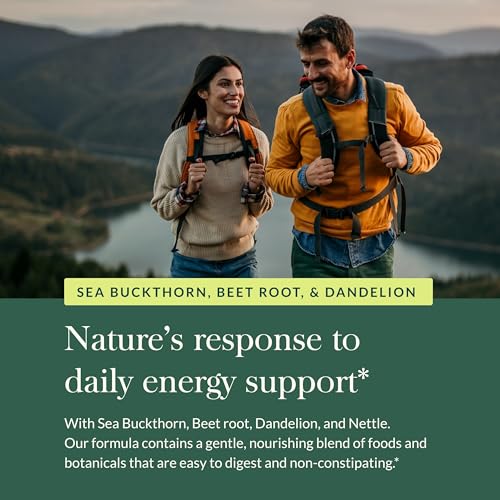 iron supplement for vegetarian diets