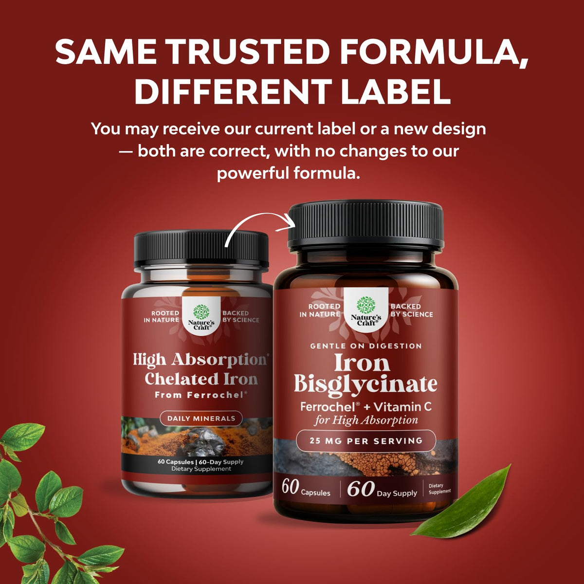 iron supplement for women with vitamin C