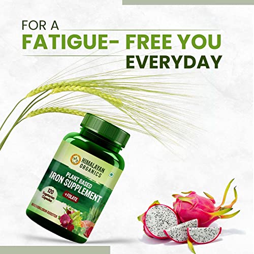 iron supplement to boost energy