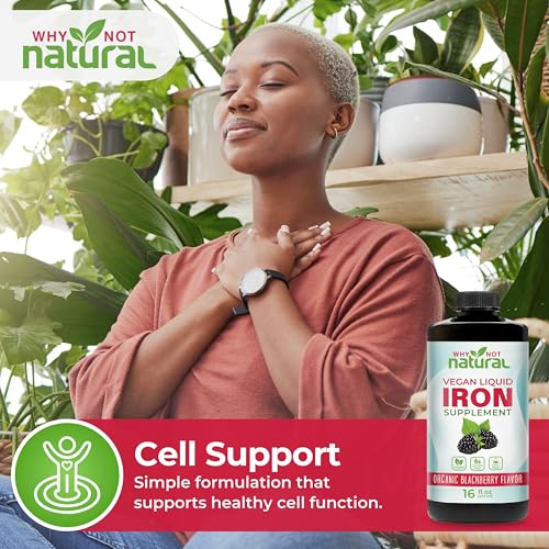 iron supplement with delicious taste