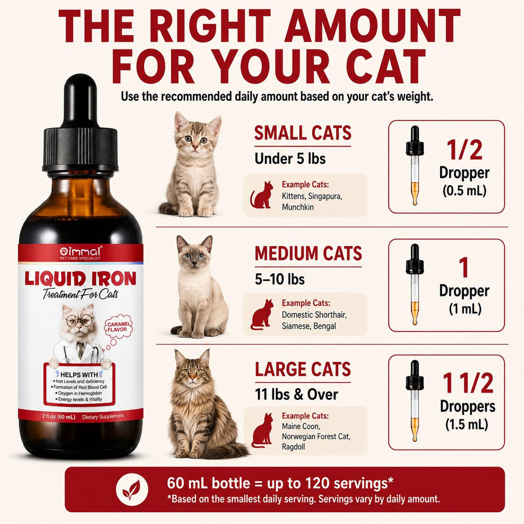 iron supplements for active kittens