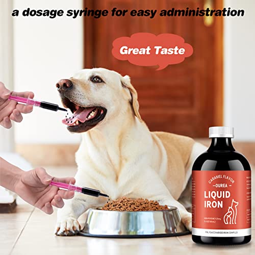 iron supplements for active pets