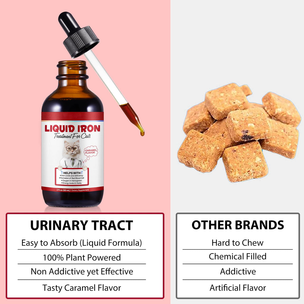 iron supplements for cat recovery