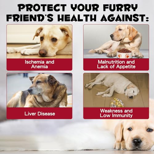 iron supplements for dog vitality