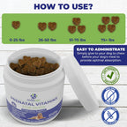 iron supplements for pregnant dogs