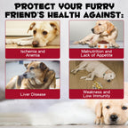 iron with folate and B12 for pets