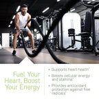 Irwin Naturals coq10 antioxidant benefits