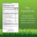 Irwin Naturals Ginkgo Smart formula